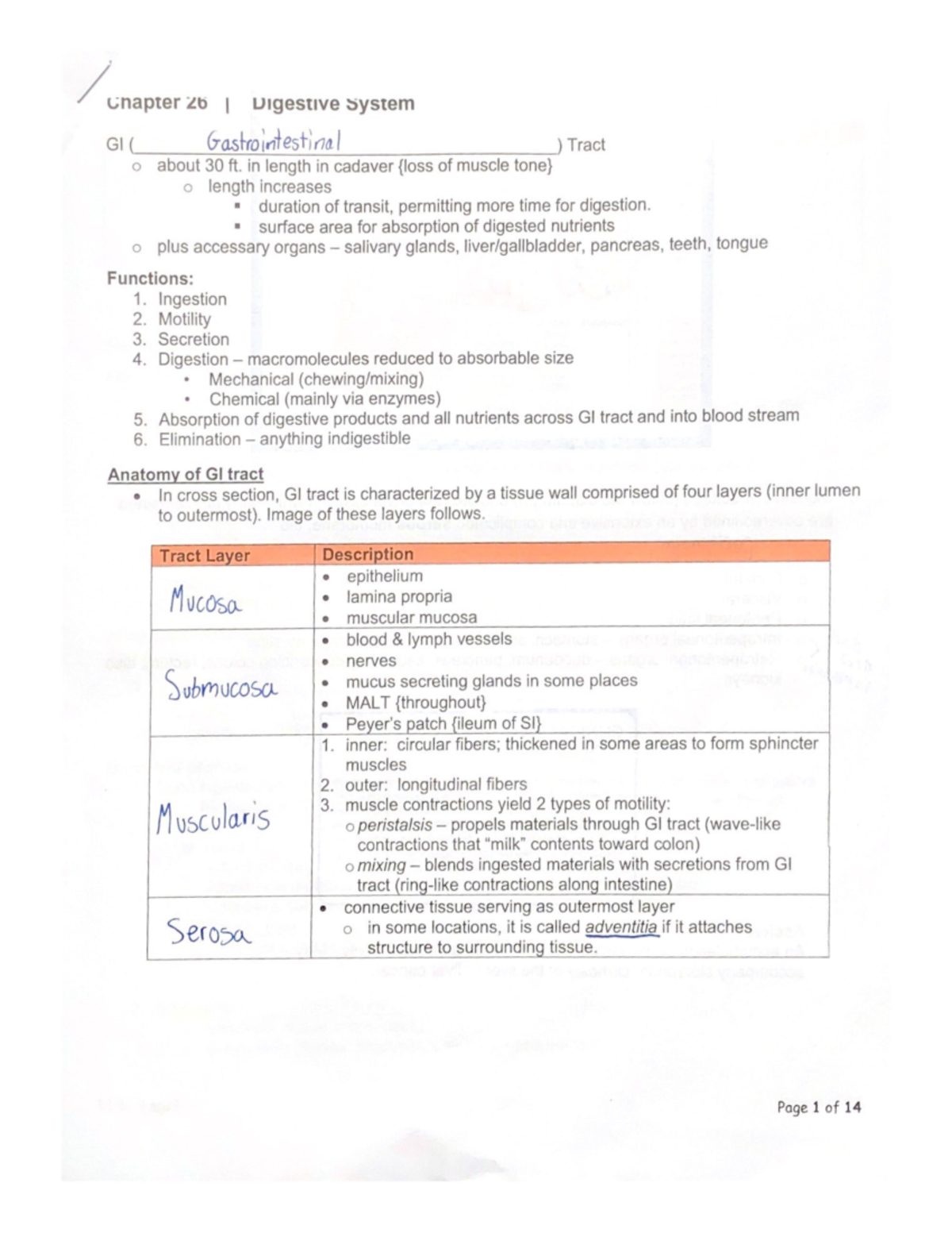 Digestive System - Chapter 26 - Chapter 26 Digestive System GI ...