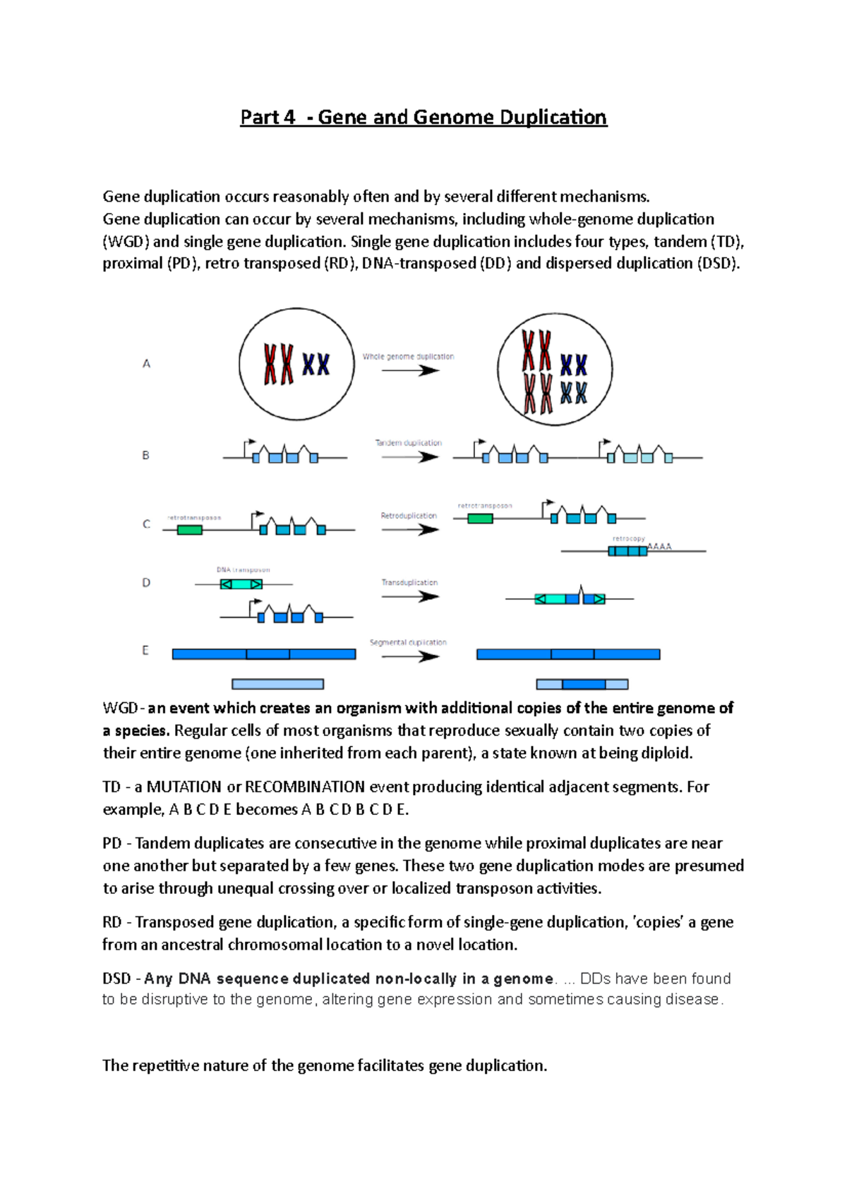 Part 4 notes on gene and genome duplication - Part 4 - Gene and Genome ...