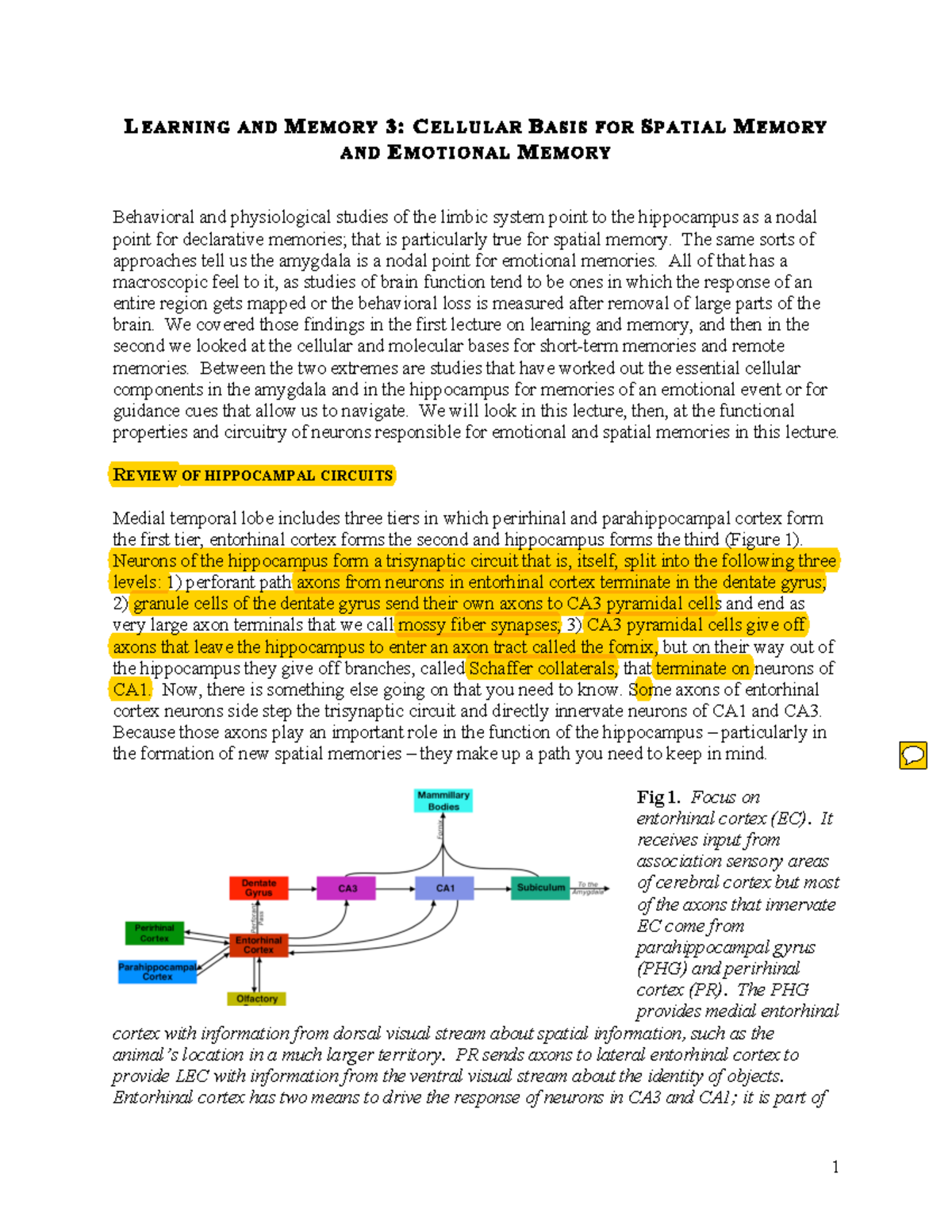 Lecture 07 Memory 3 - Warning: Popup annotation has a missing or invalid parent annotation ...