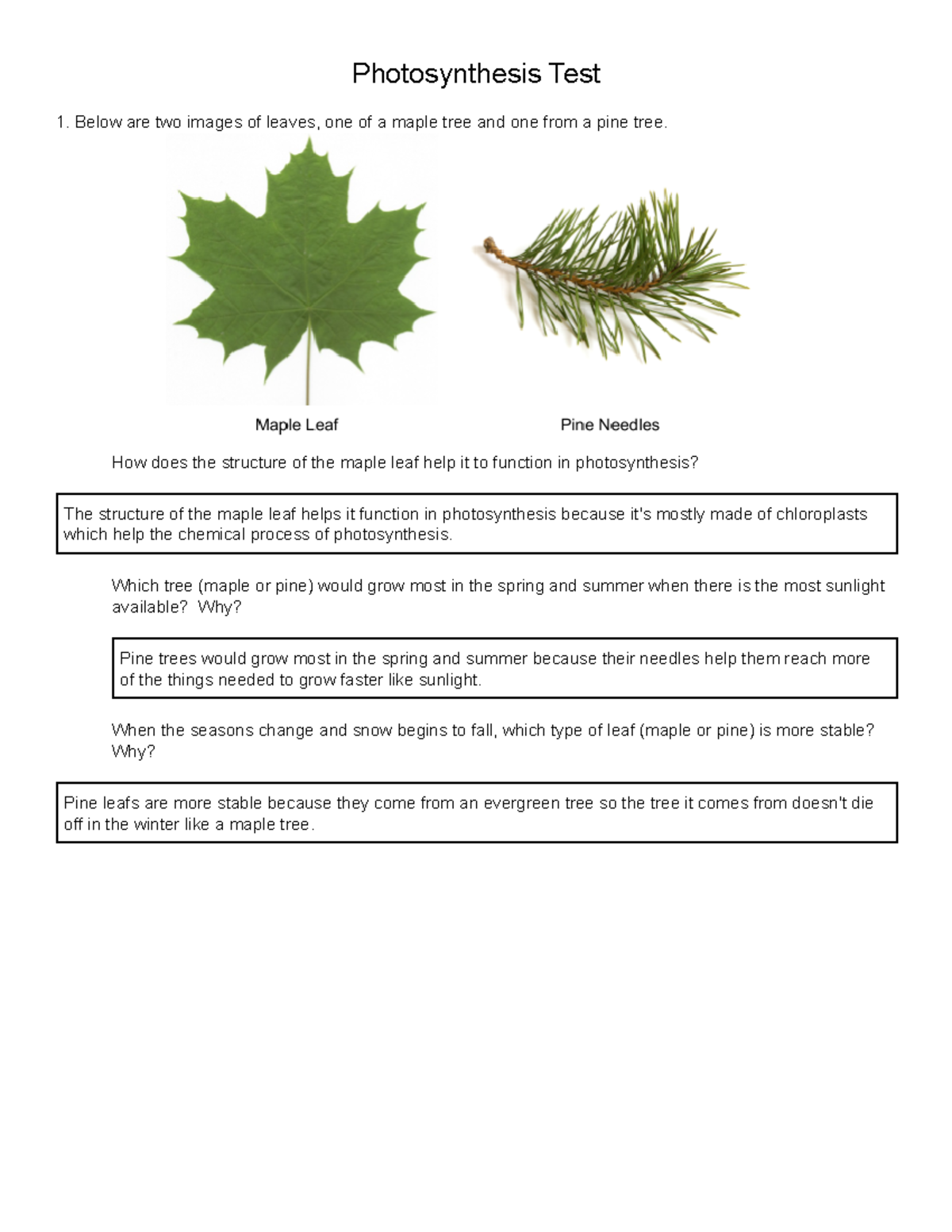 Copy of GCopy of 3 Dimensional Photosynthesis Task - Photosynthesis ...