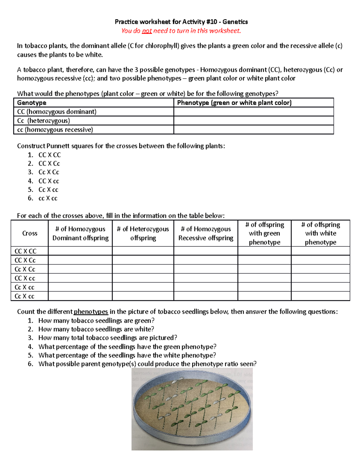 Activity # 10 Genetics Practice Worksheet - Practice worksheet for ...