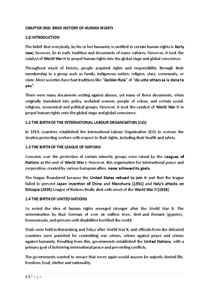 International Human Rights LCP 4807 assignment 1 file 5 - ENFORCEMENT ...