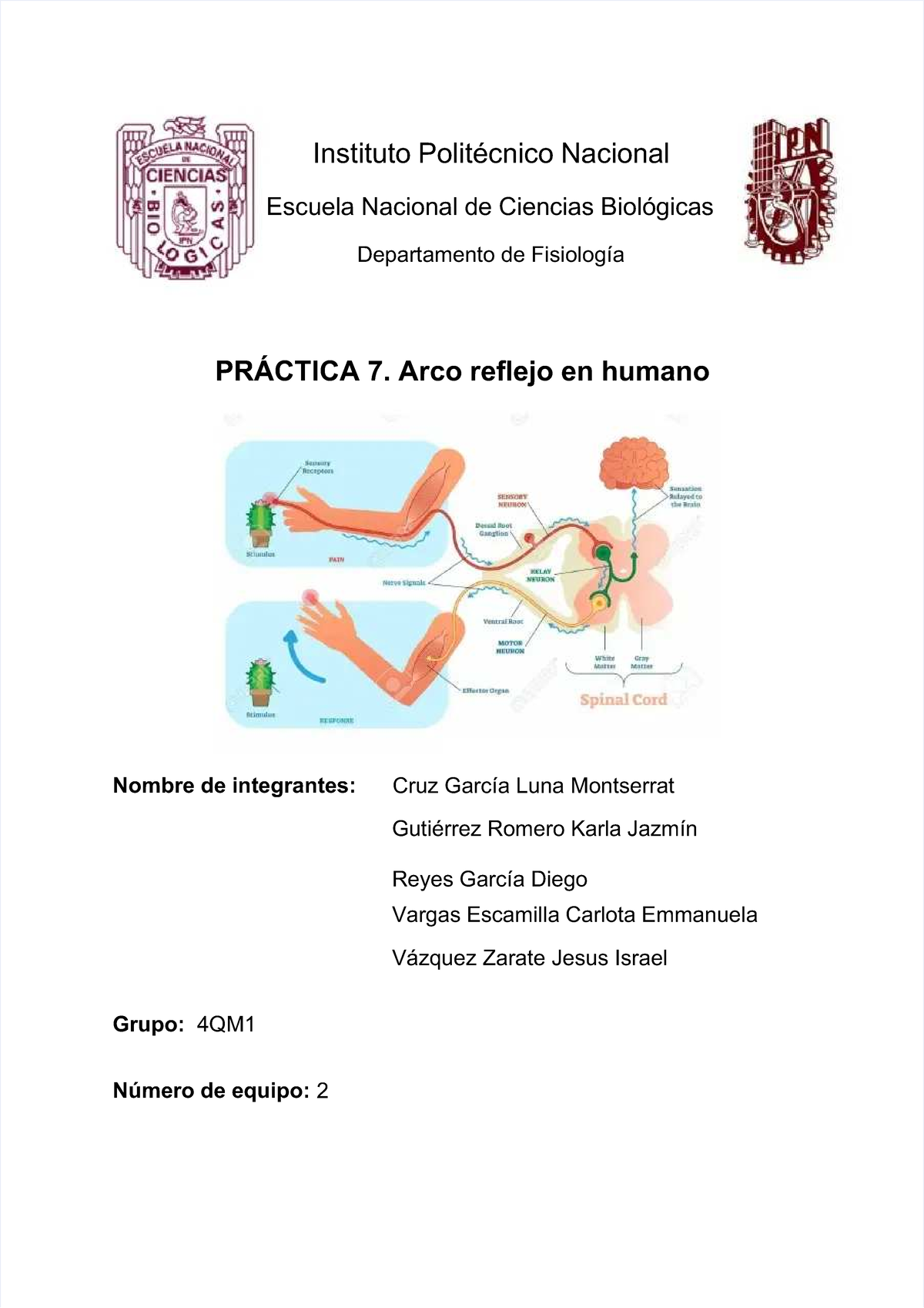 Pdf-practica-7-arco-reflejo-en-humano compress - Instituto Politécnico NacionalInstituto ...