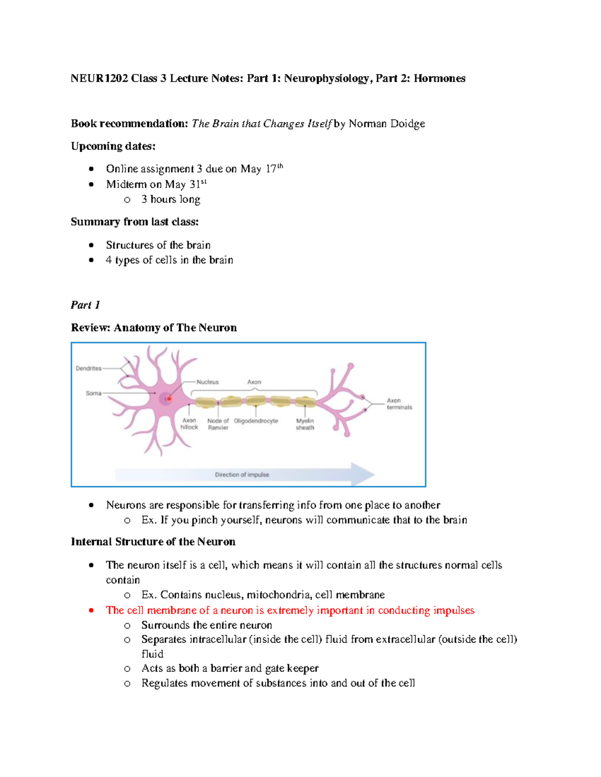 NEUR1202 Lecture 3 Notes - NEUR1202 Class 3 Lecture Notes: Part 1 ...