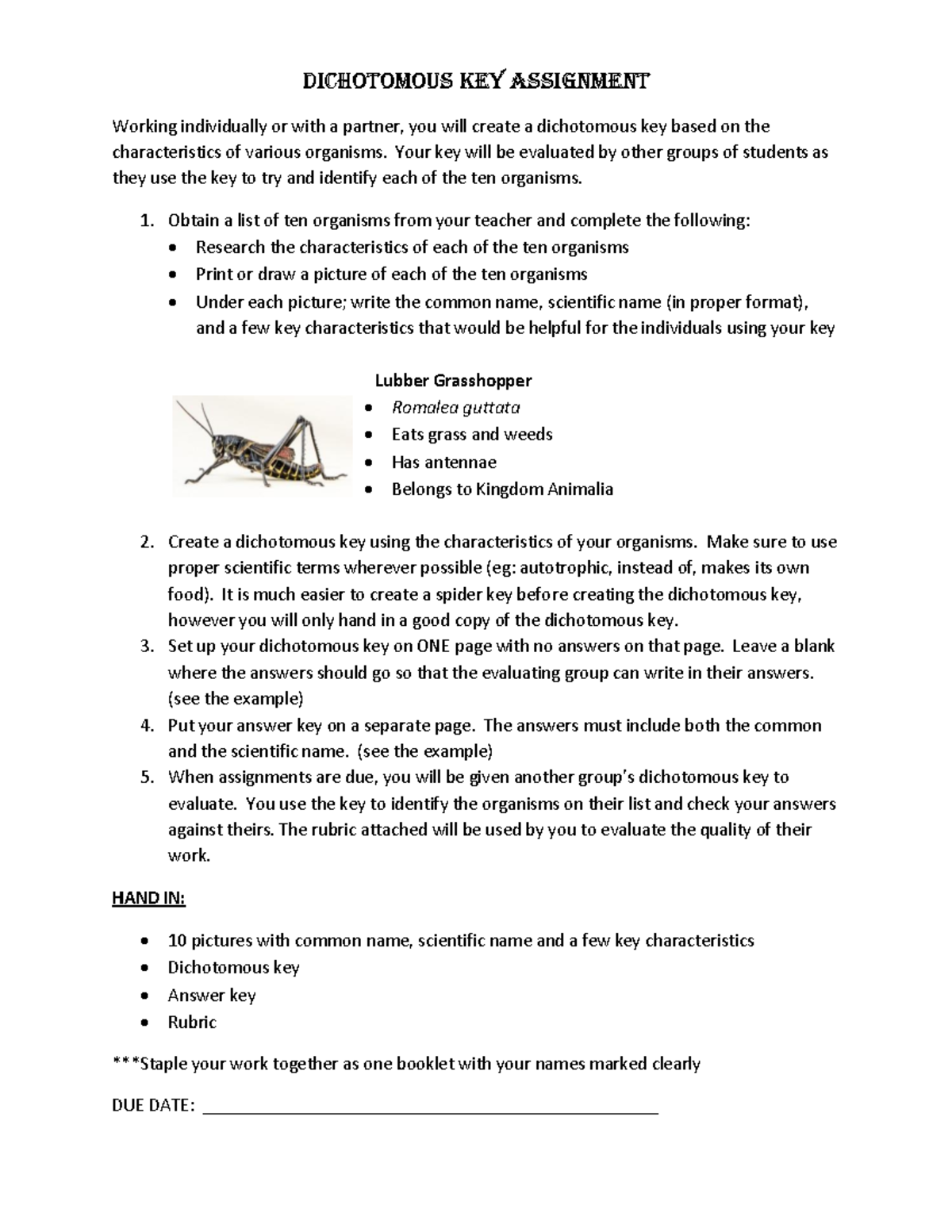 Lesson 2 - Dichotomous Key Assignment - Dichotomous Key ASSIGNMENT ...