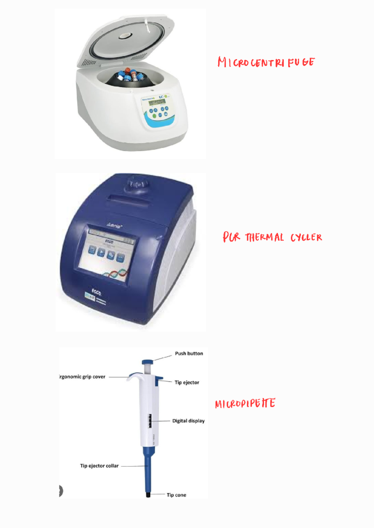 Equipment in Mol Bio - Summary Molecular Biology and Diagnostics - Studocu