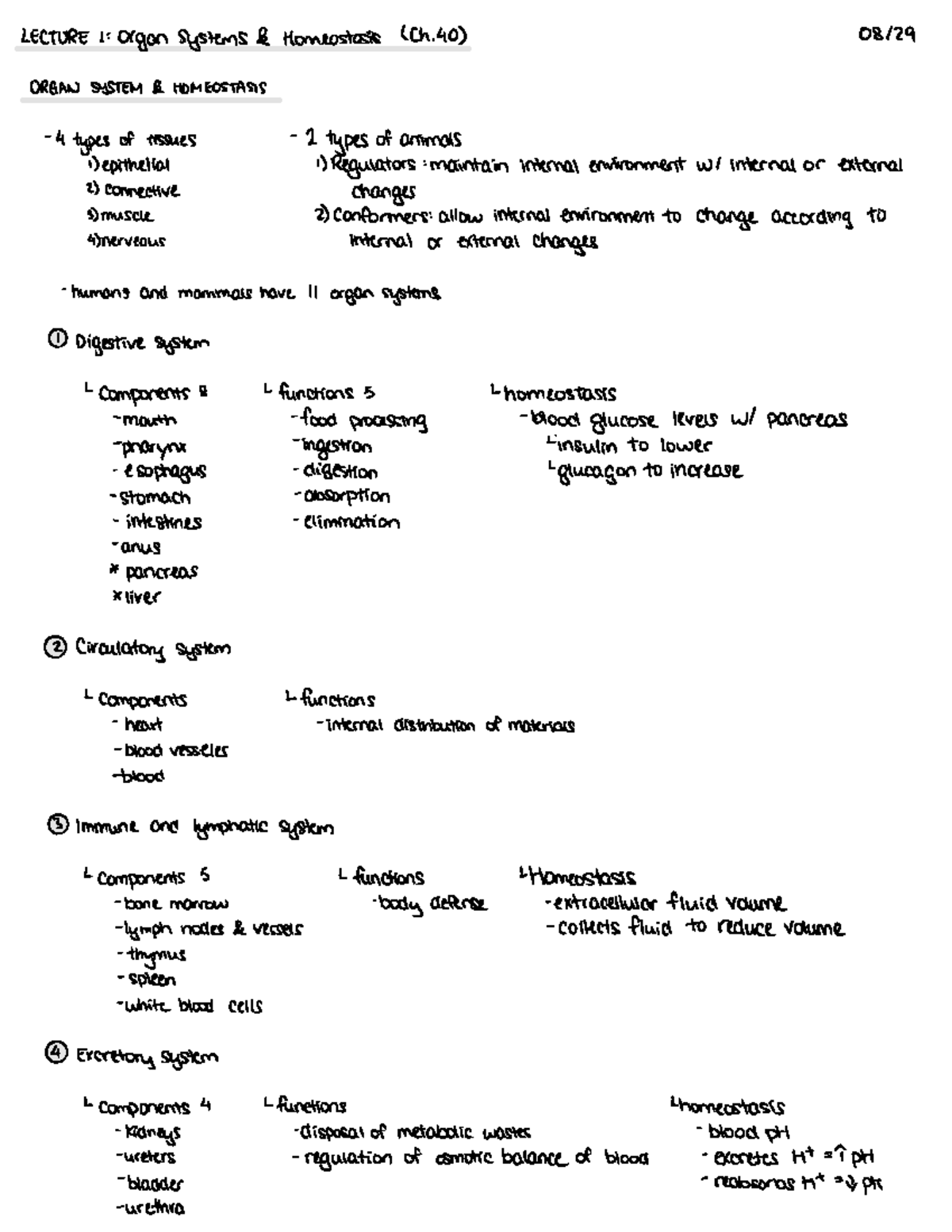 Finalized Notes Of The Whole Semester Warning Error During Font Loading Xmlrequest Is 