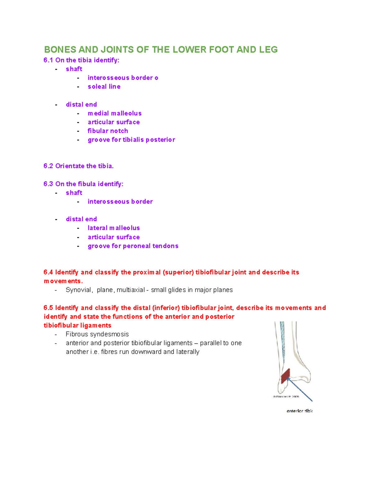 ANAT topics 6-12 - Lecture notes 6-12 - BONES AND JOINTS OF THE LOWER ...