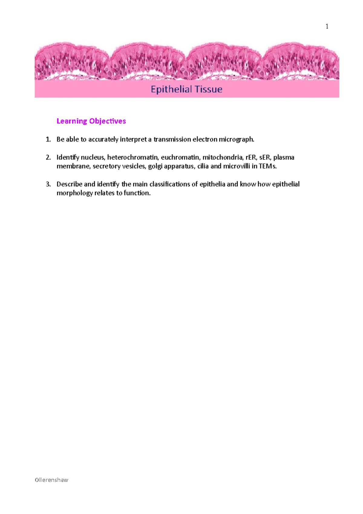 W2 Histology of epithelial tissue prac notes ANAT2011 2021 - Learning ...