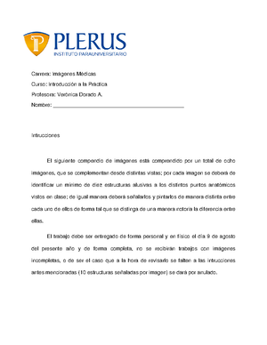 Proyecto civica - Liceo San Rafael. Estudiante: Dilan Fabricio Cedeño ...