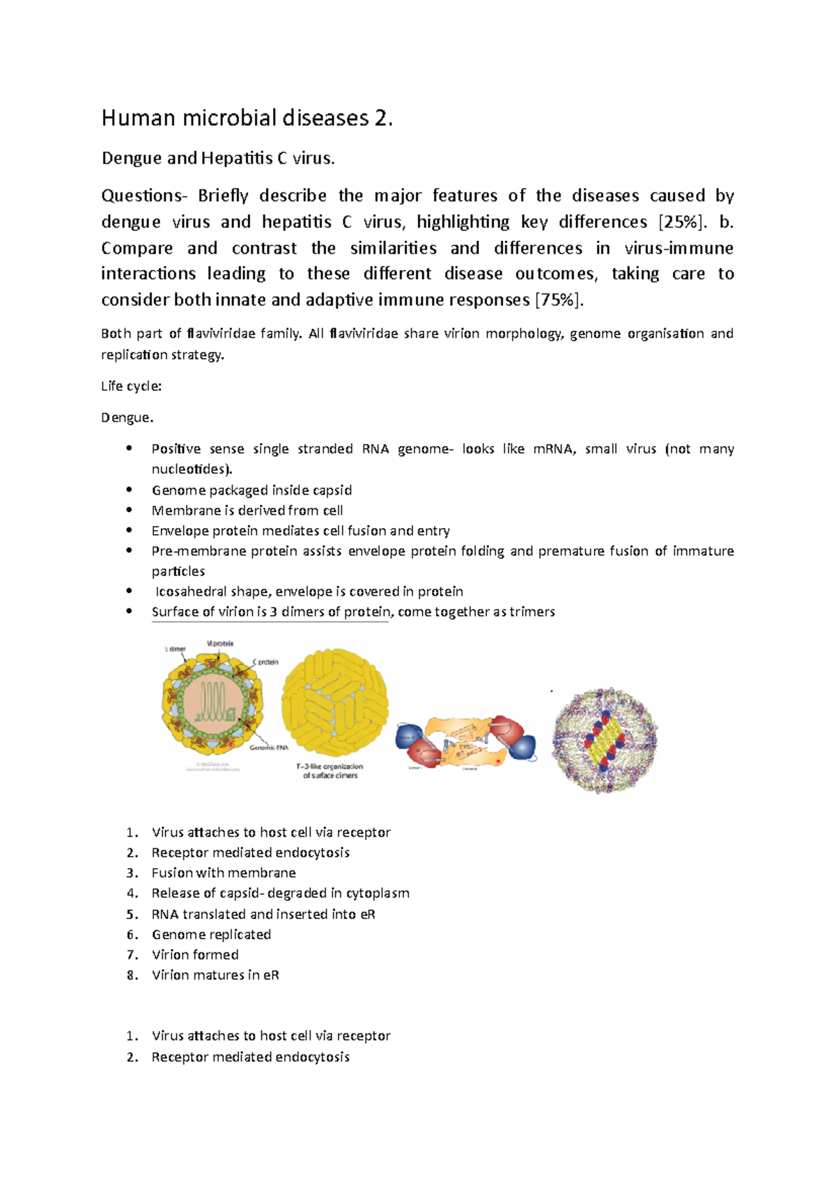 Human microbial diseases 2 - Dengue and Hepatitis C virus. Questions ...