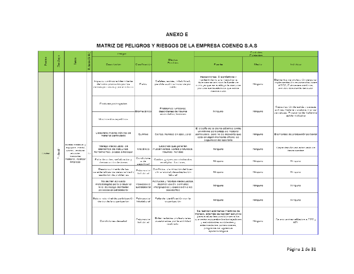 Anexo E Matriz DE Peligros Y Riesgos DE LA Empresa Coeneq S.A.S - PDF Descargar libre - ANEXO E ...