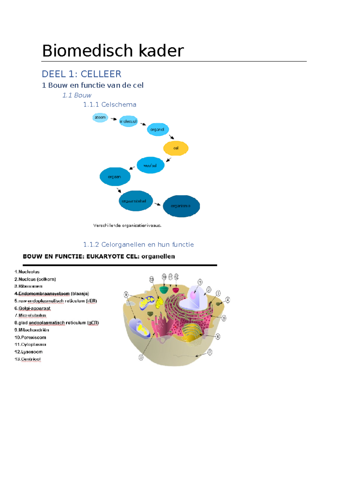 Samenvatting biomedisch kader - Biomedisch kader DEEL 1: CELLEER 1 Bouw ...