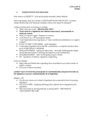 Consitutional Law II Case Chart - Case Name Case Description and Rule ...