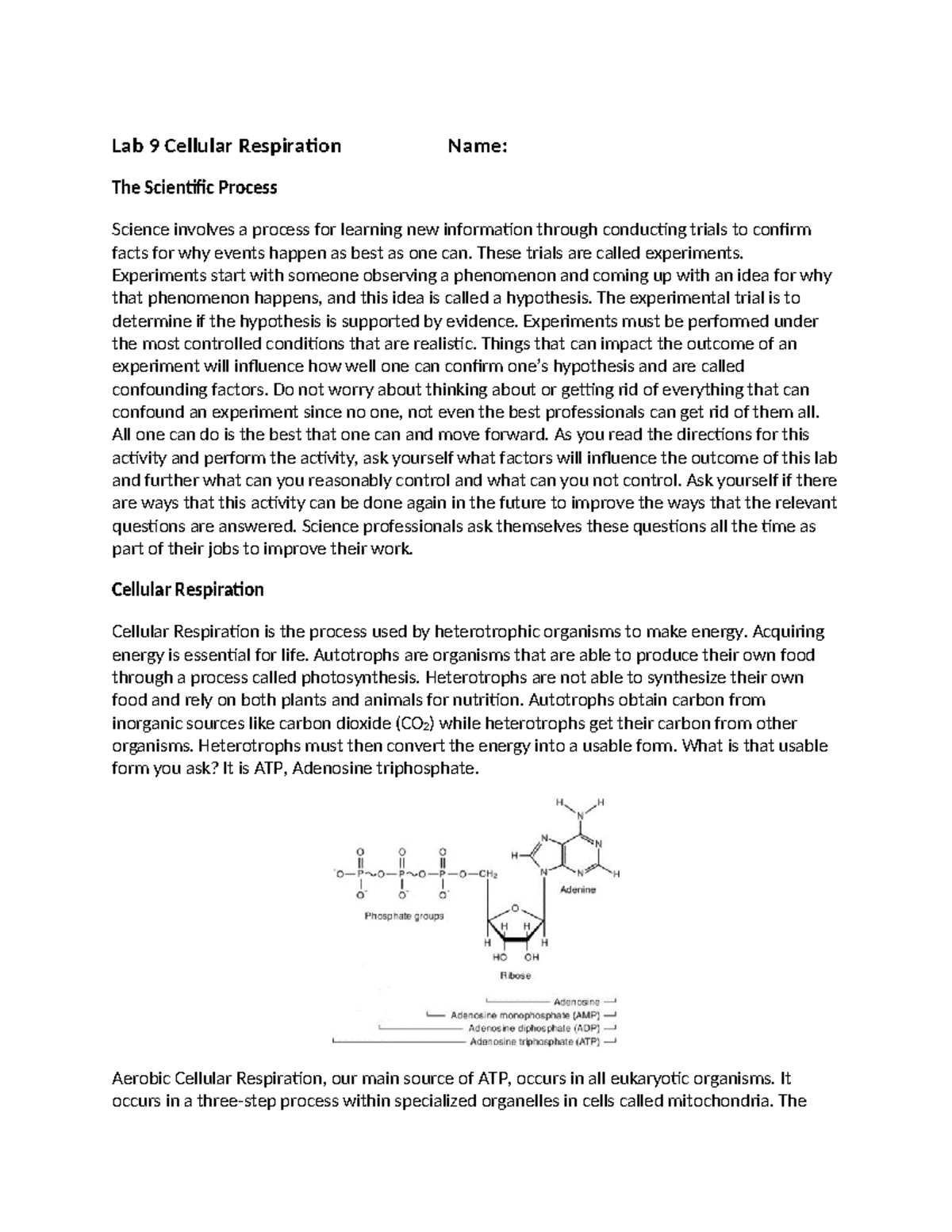Lab 9 Cellular Respiration Scientific Literacy Assessment SP24 - Lab 9 ...