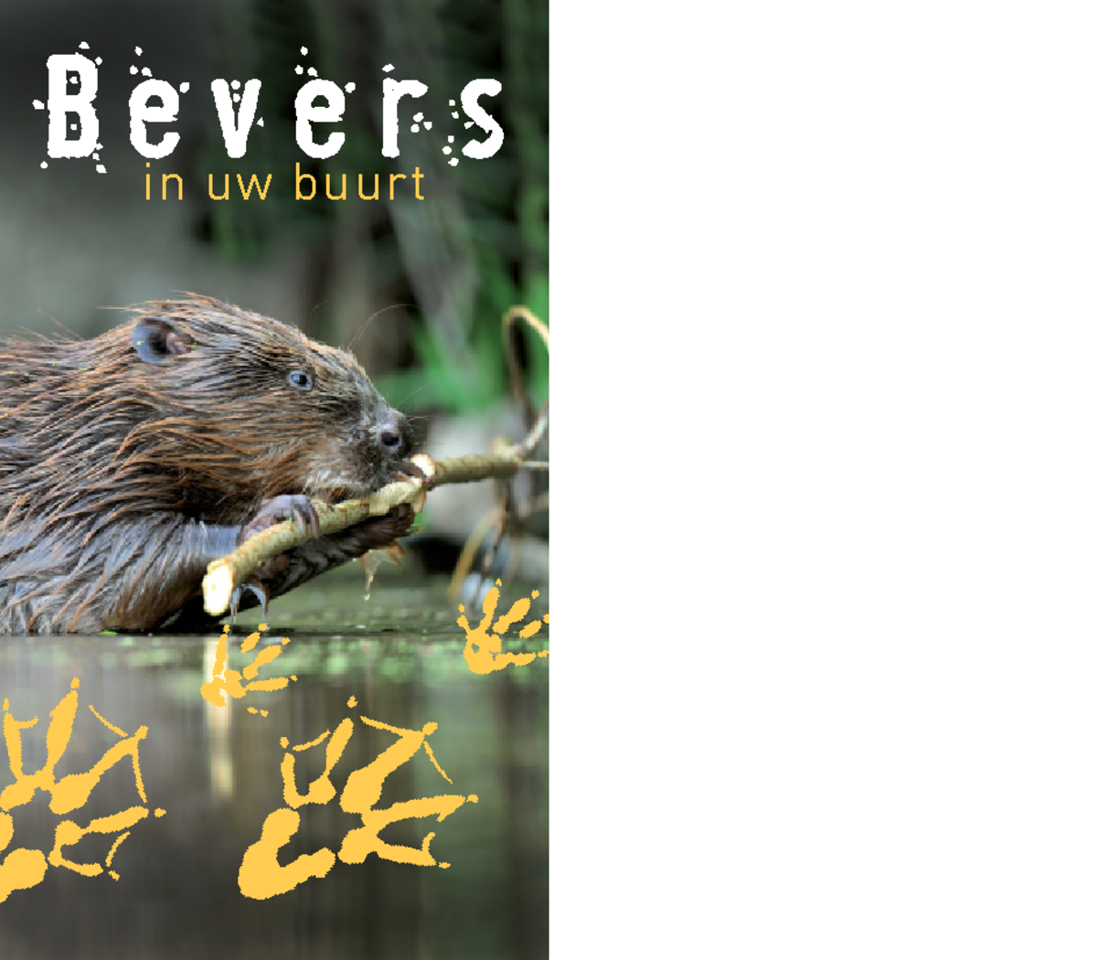 Beverbrochure LOW 2012 - Bevers in uw buurt Beverweetjes Bevers zijn ...