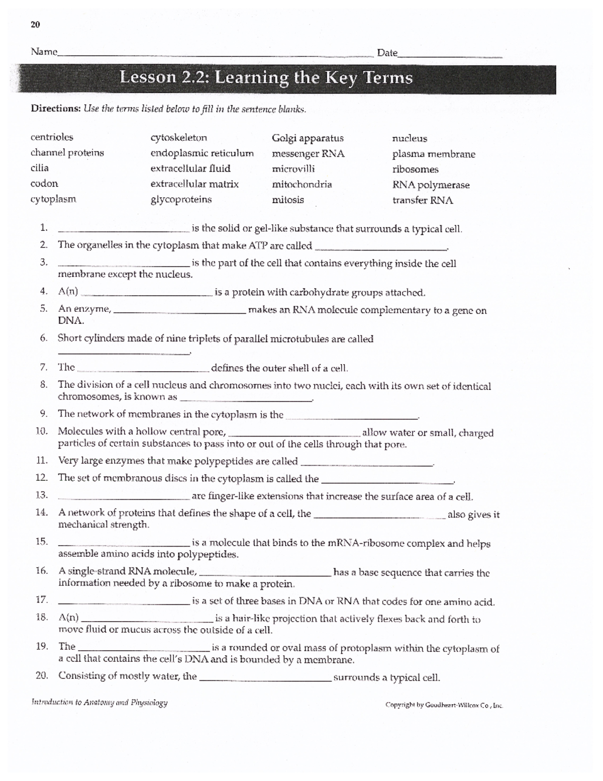 Anatomy Chapter 2 Cells-Tissues Vocabulary - anatomie pathologique ...