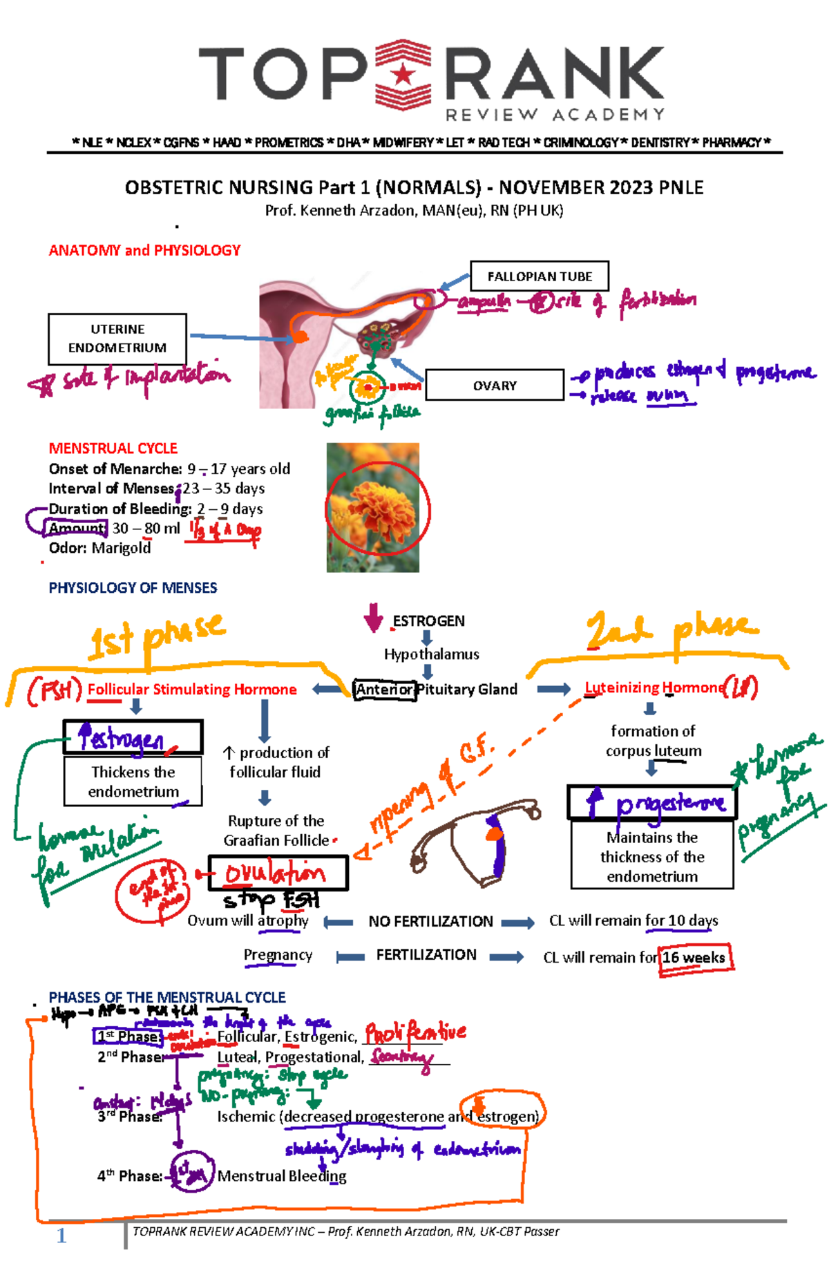 OB Refresher Annotated Part 1 Normals NOV 2023 PNLE June 25 - OBSTETRIC ...