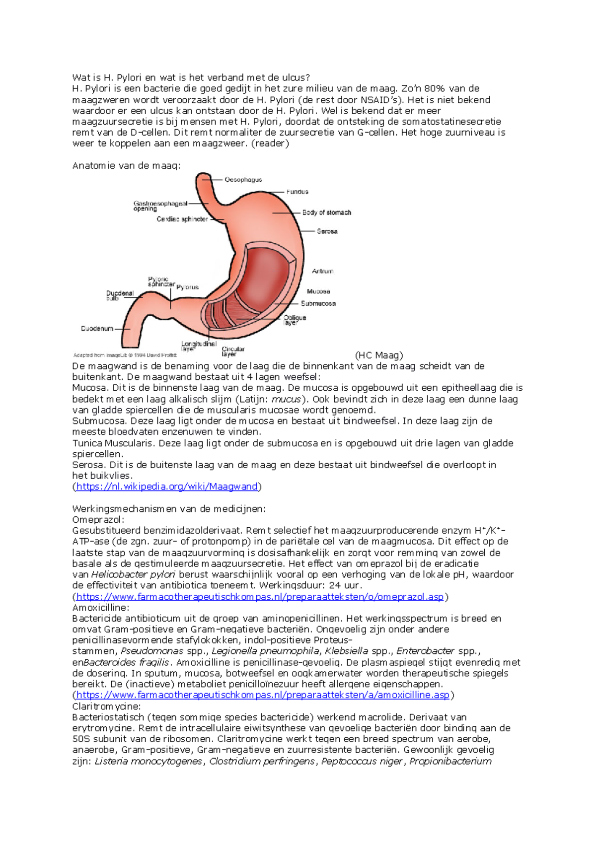 FA-101 PGO2 - Wat is H. Pylori en wat is het verband met de ulcus? H ...