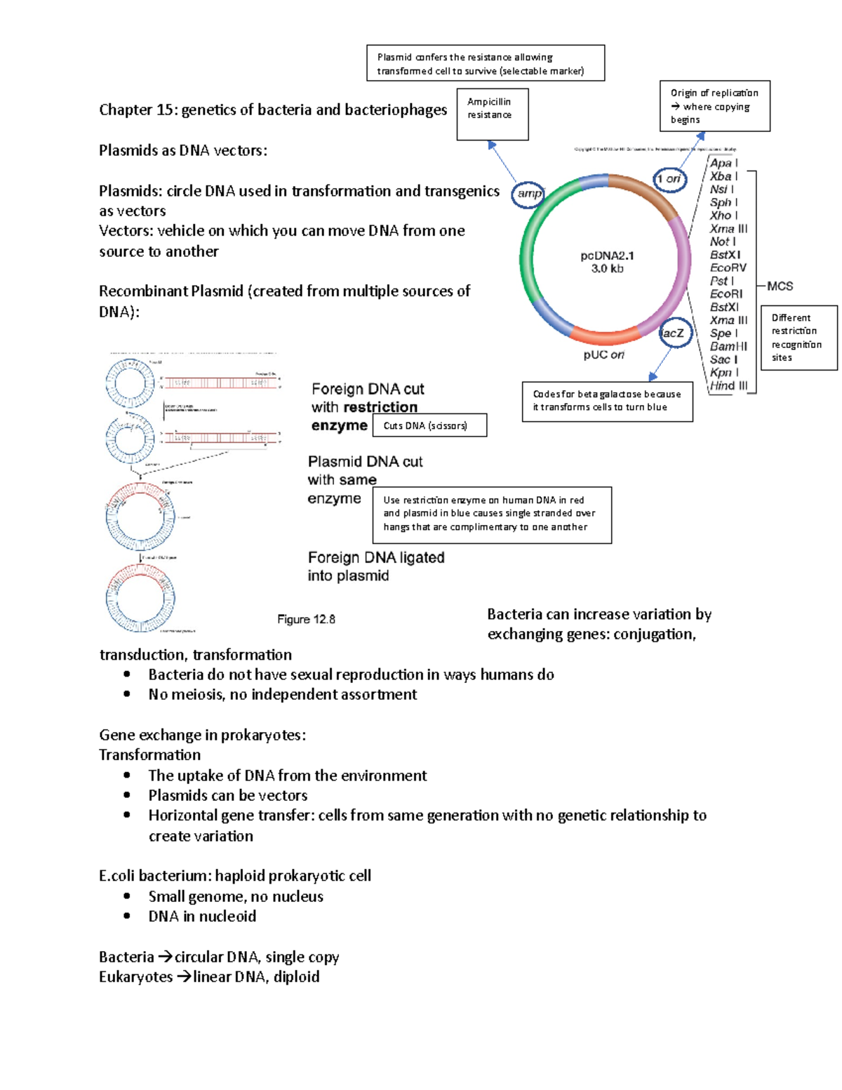 Chapter 15 - Professor Croshaw Lecture Notes in detail and explained ...