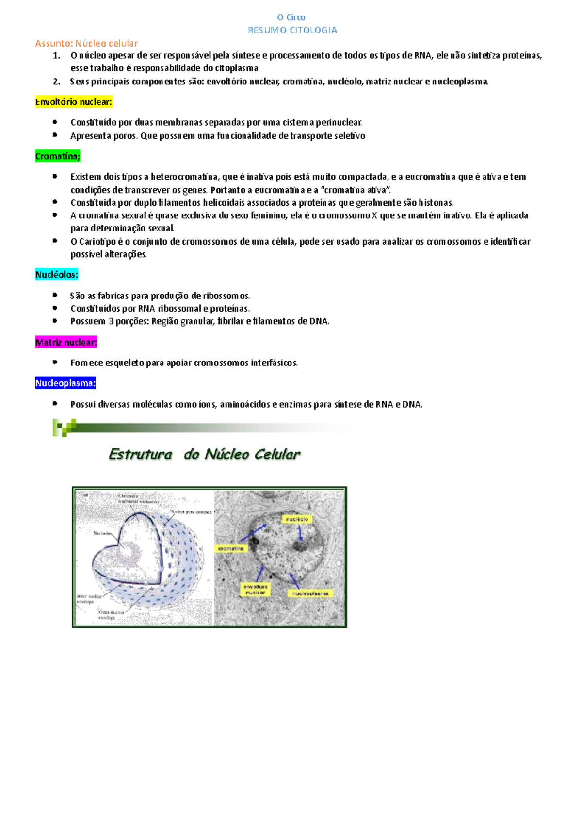 Resumo Citologia - núcleo celular - O Circo RESUMO CITOLOGIA Assunto ...