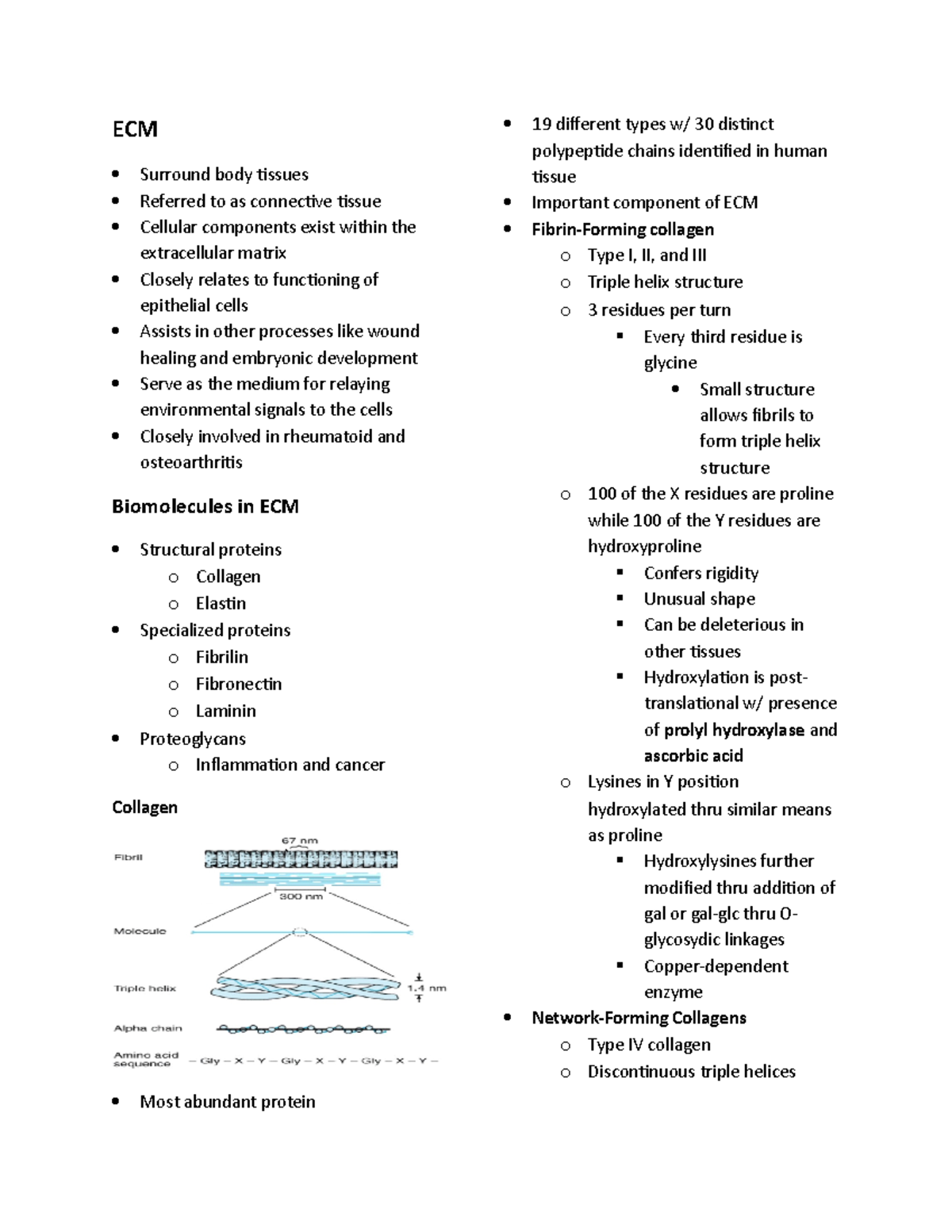 Biomolecules in ECM - ECM Surround body tissues Referred to as ...