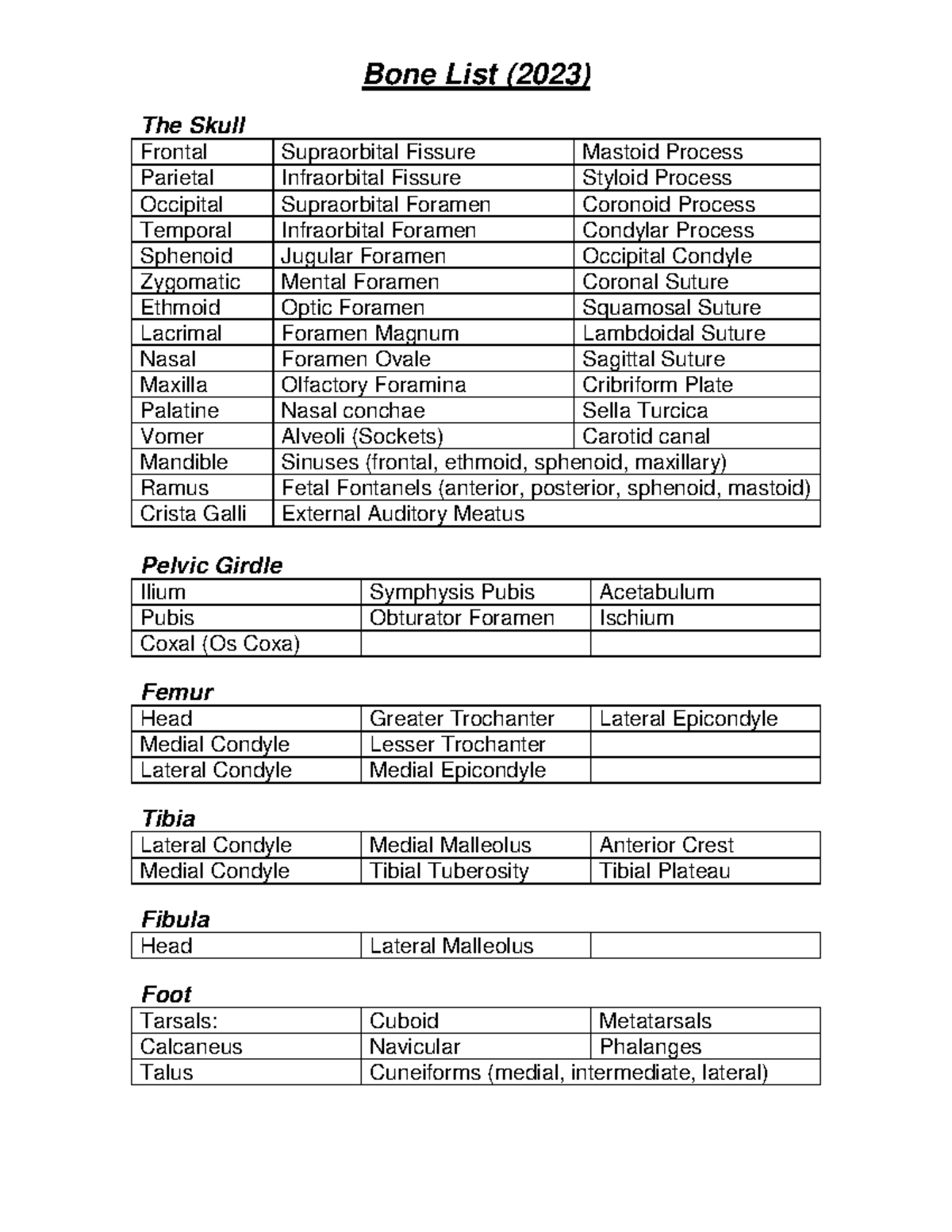 Bone List 2023 - Notes - Bone List (2023) The Skull Frontal ...