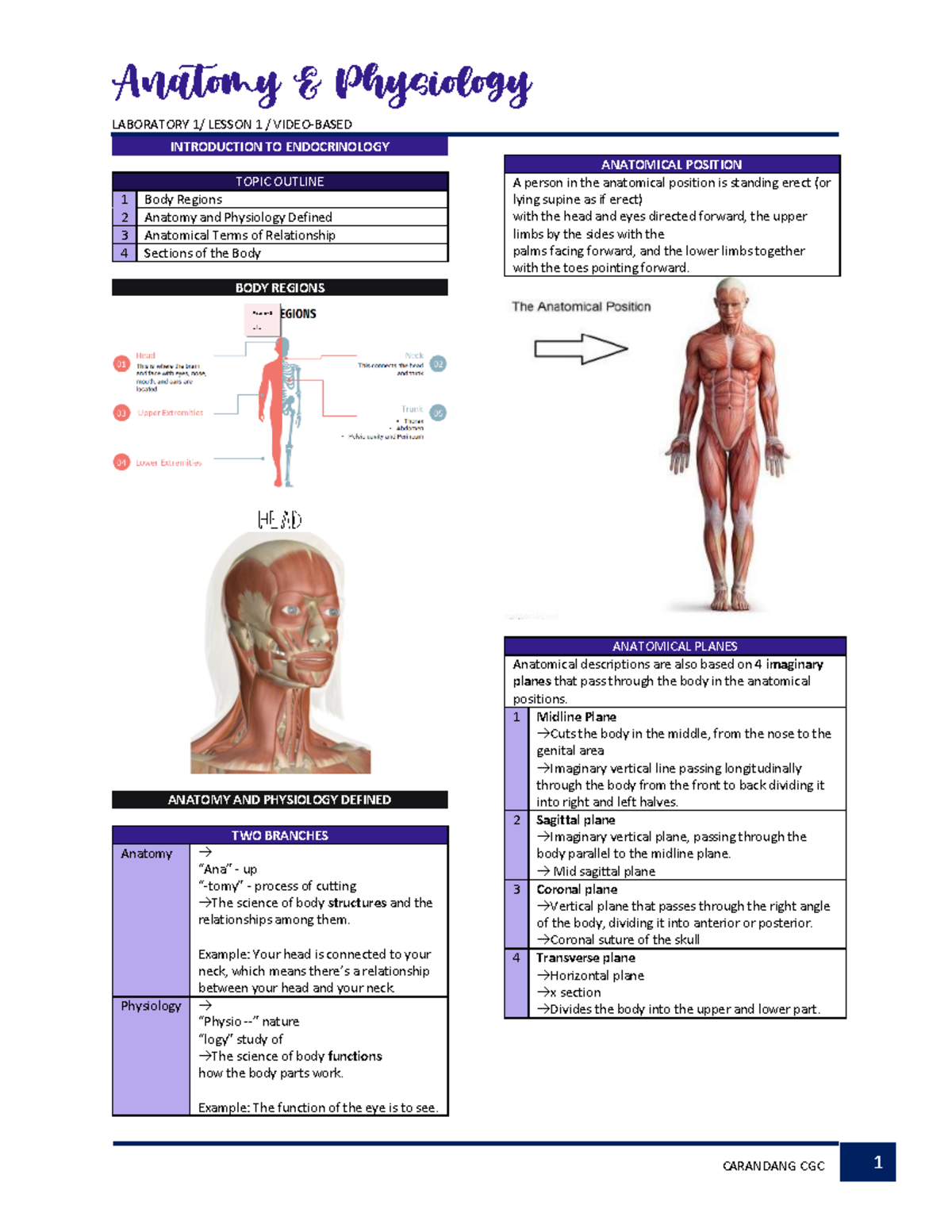 Human Anatomy AND Physiology - Anatomy & Physiology LABORATORY 1 ...