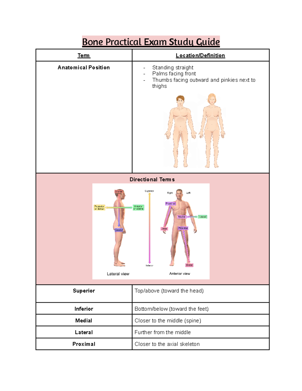 Bone Practical exam study guide - Bone Practical Exam Study Guide Term ...