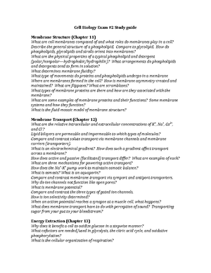 Section 1 Review sheet - Cell Biology Exam Study guide This is intended ...