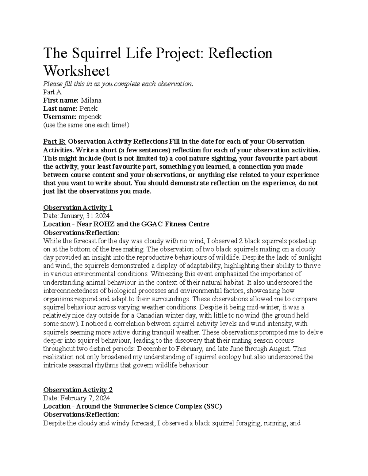 Squirrel Life Project Reflection Worksheet W23 - The Squirrel Life ...