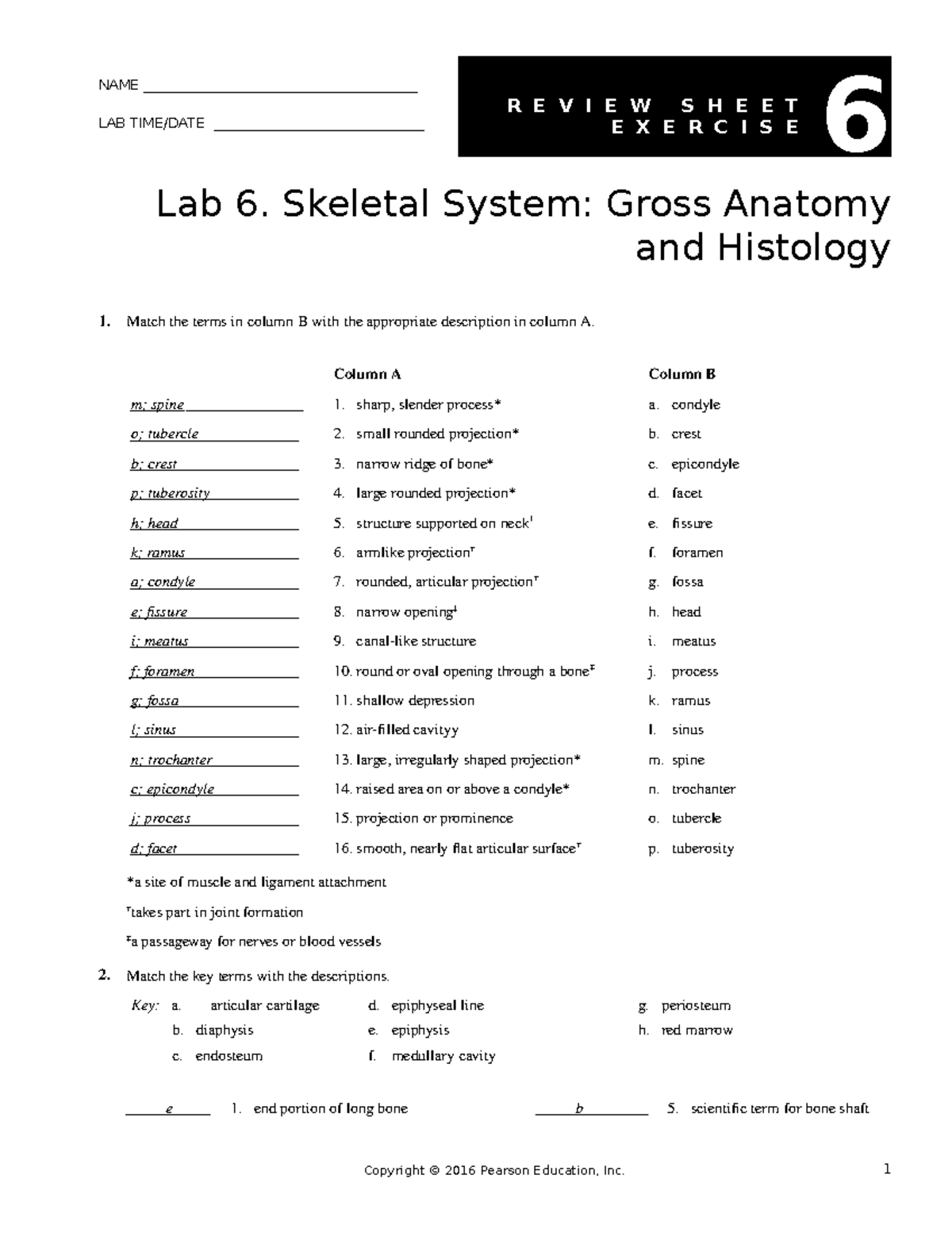 Lab 6 - NAME LAB R E V I E W S H E E T E X E R C I S E 6 Lab 6 ...