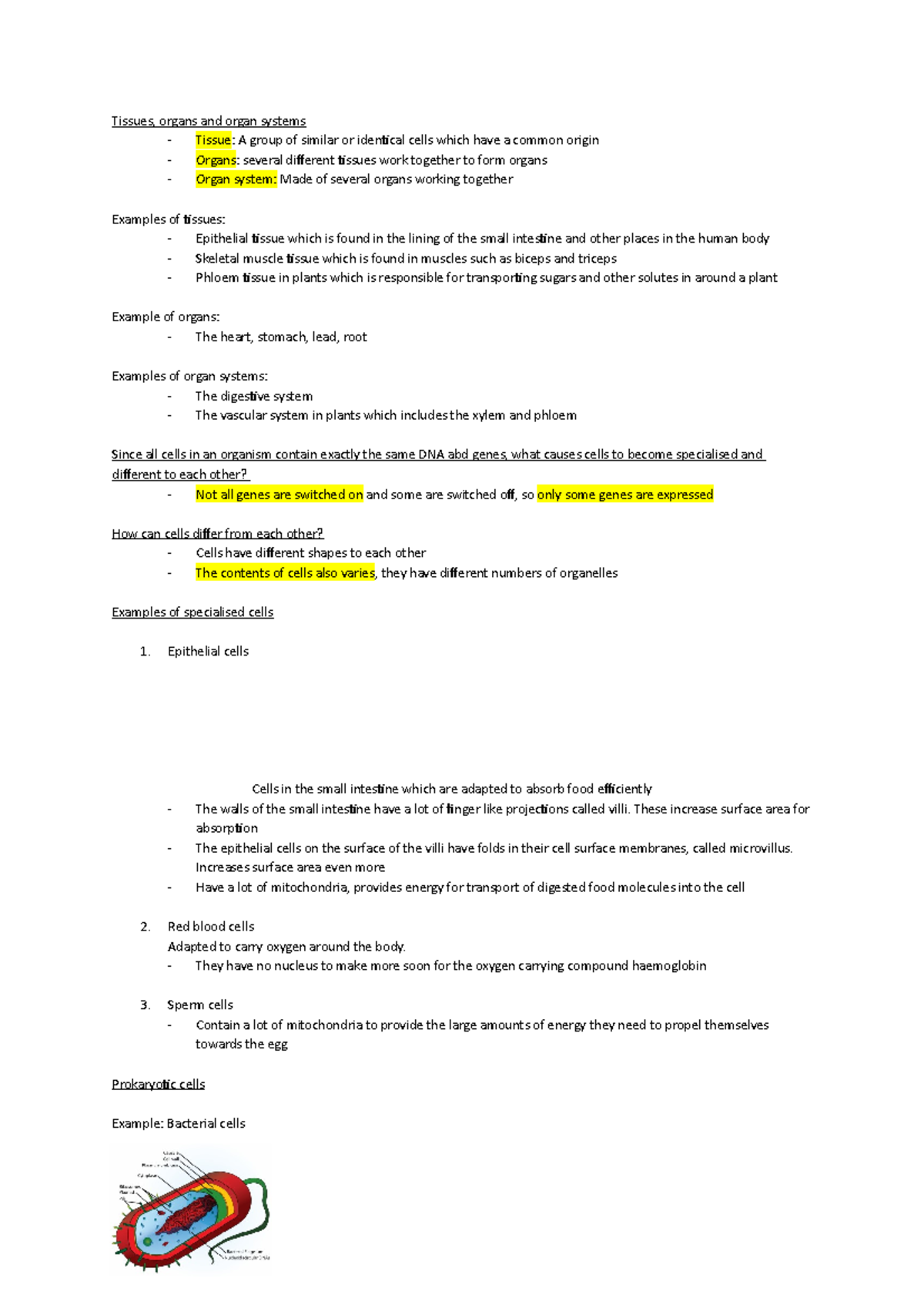 Tissues organ systems - lecture notes - Tissues, organs and organ ...