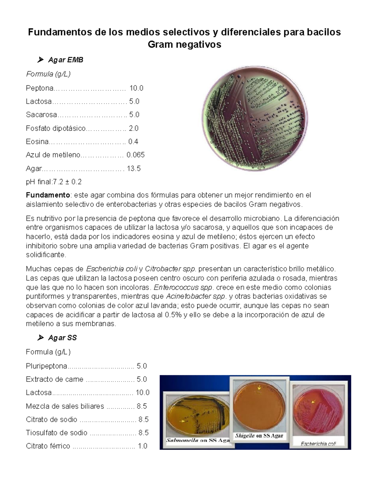 Fundamentos de medios selectivos y diferenciales para bacilos Gram negativos. Bacter Exp - - Studocu