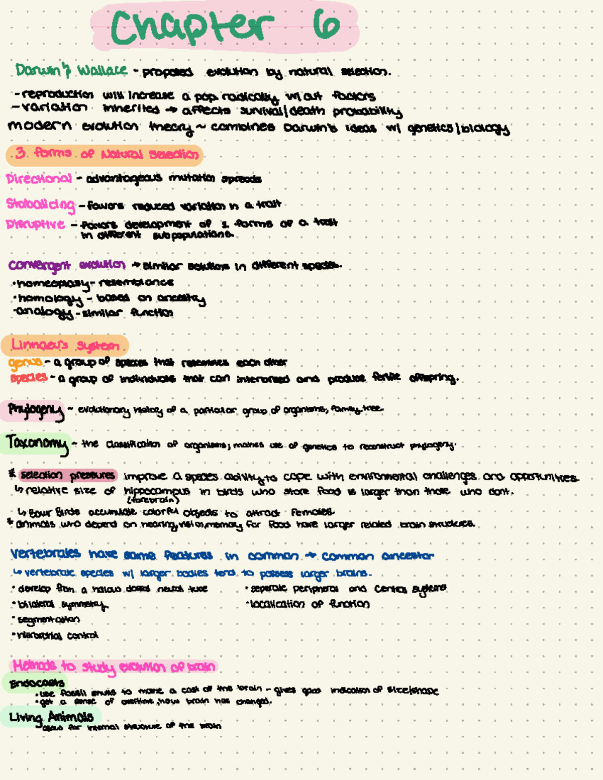 Chapter 6 - Evolution - Chapter 0 Darwin Wallace-proposed evolution by ...
