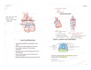 MOD 3-4 - anatomy module 4 notes - 1H06 - Studocu