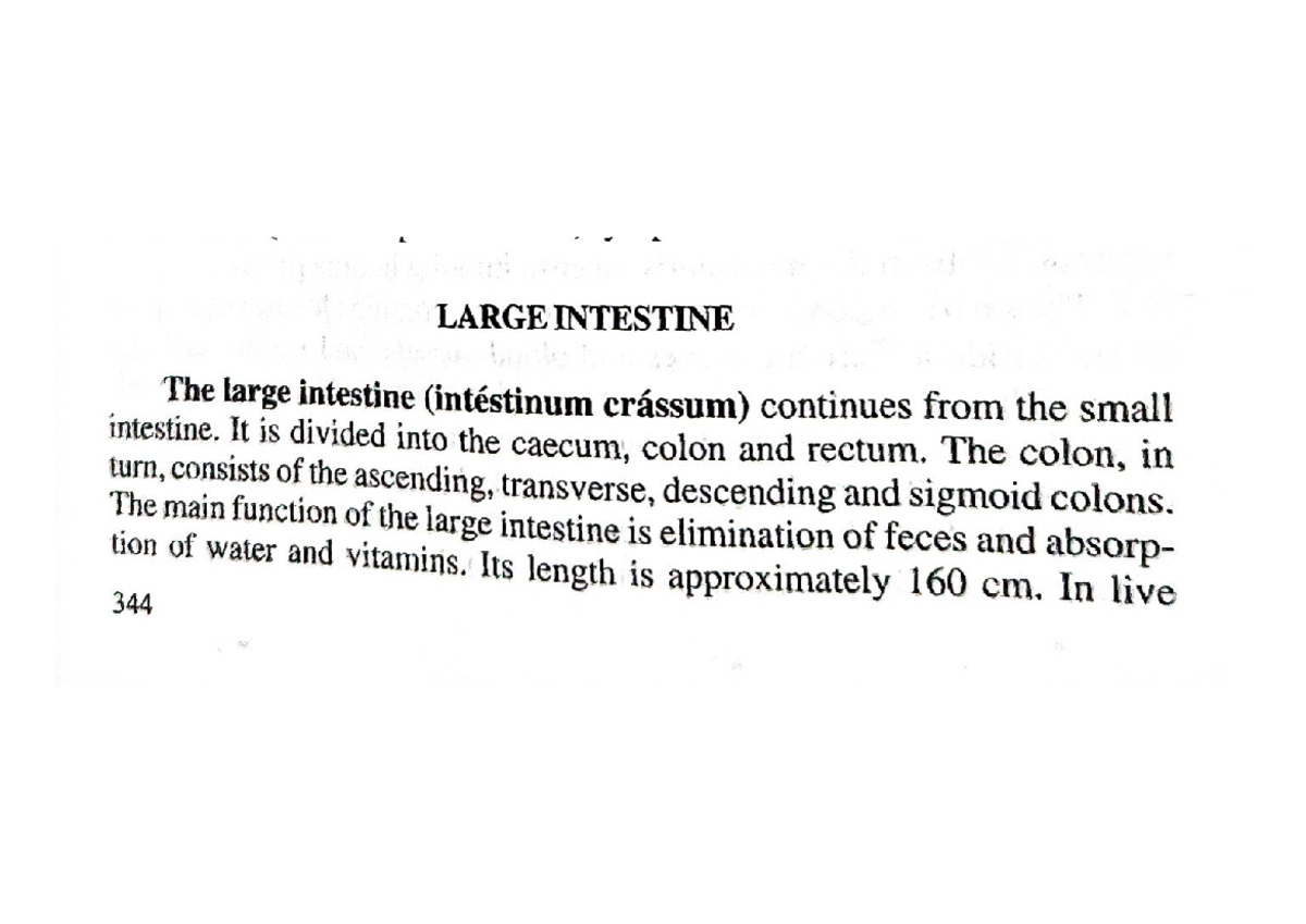 Large intestine - Book - General medicine - Studocu