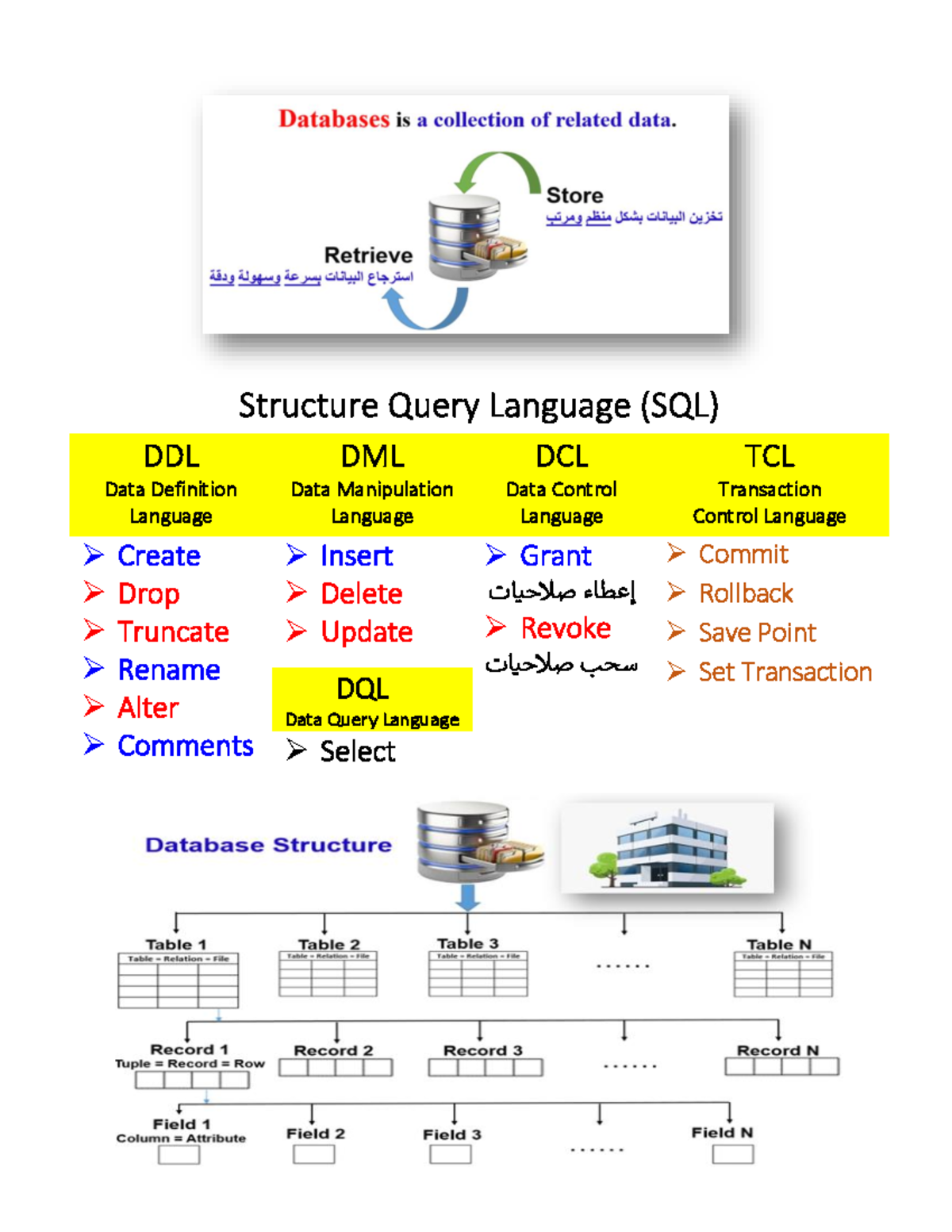 Intro. to SQL - Structure Query Language (SQL) DDL Data Definition Language DML Data ...
