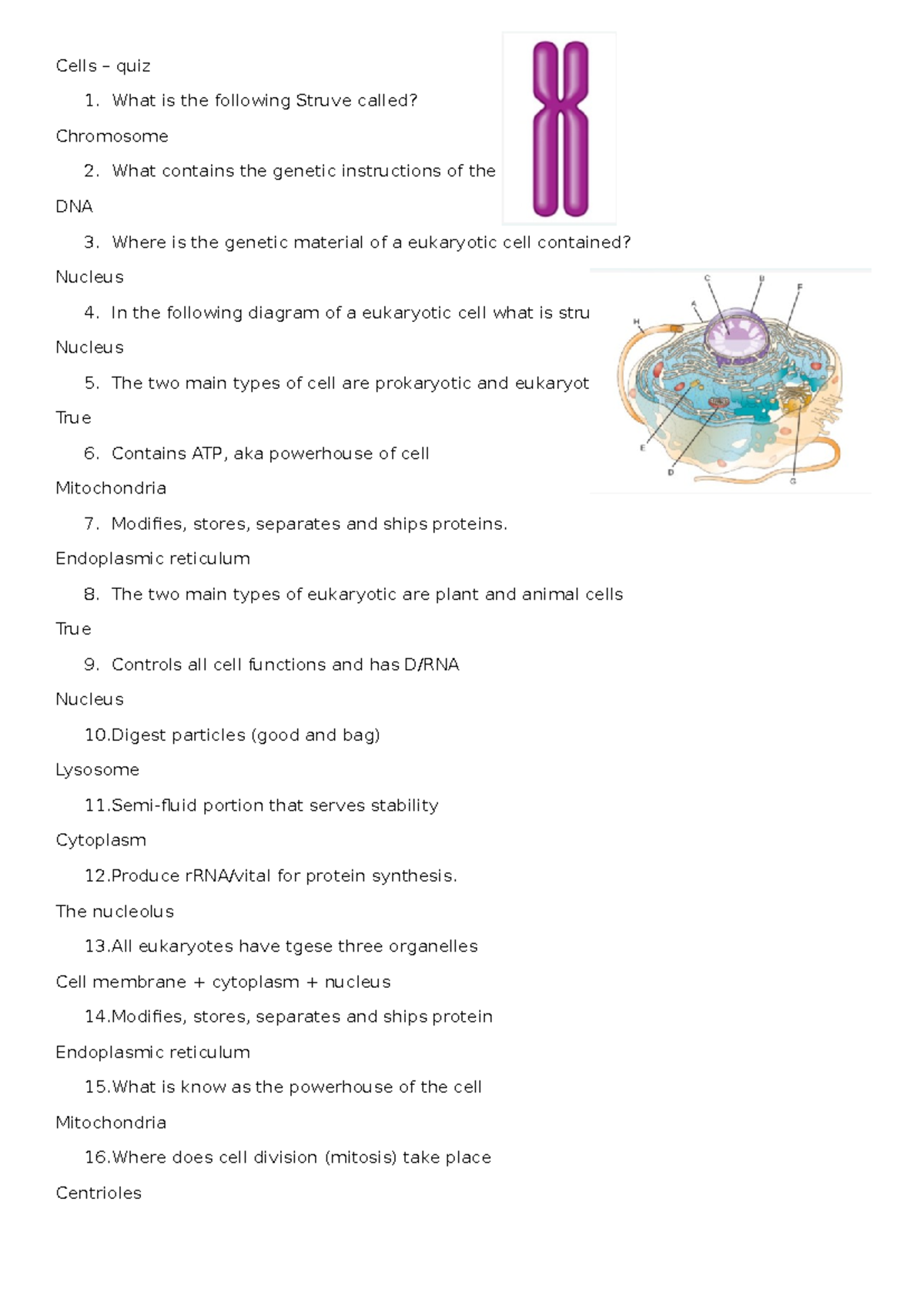 Cell quiz - quiz about cells - Cells – quiz 1. What is the following ...
