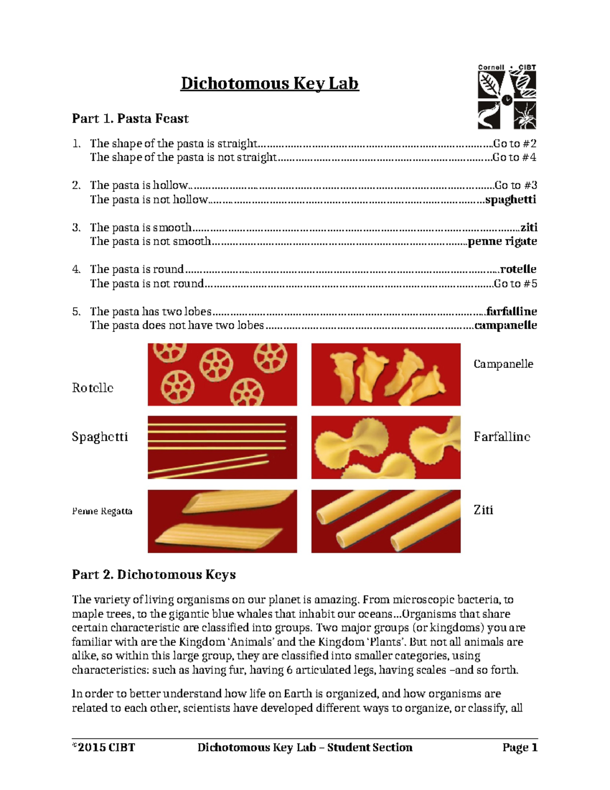 Dichotomous Key Student Worksheet - Dichotomous Key Lab Part 1. Pasta ...