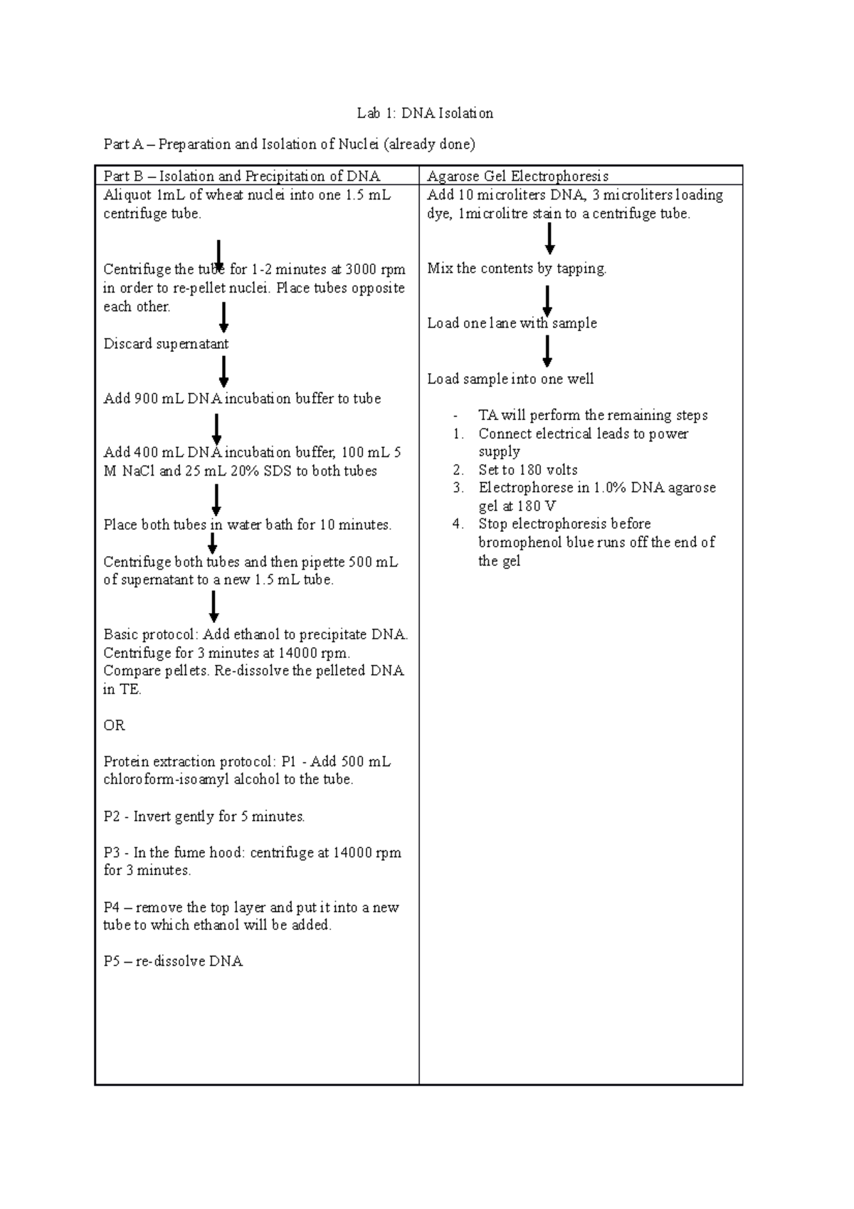 Lab 1 Flowchart - lab 1 work - Lab 1: DNA Isolation Part A – Preparation and Isolation of Nuclei ...