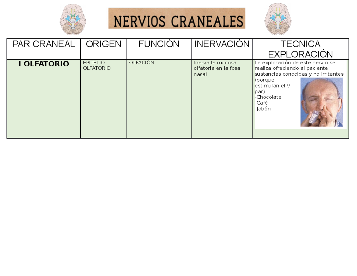 Pares Craneales - PAR CRANEAL ORIGEN FUNCIÓN INERVACIÓN TECNICA EXPLORACIÓN I OLFATORIO EPITELIO ...