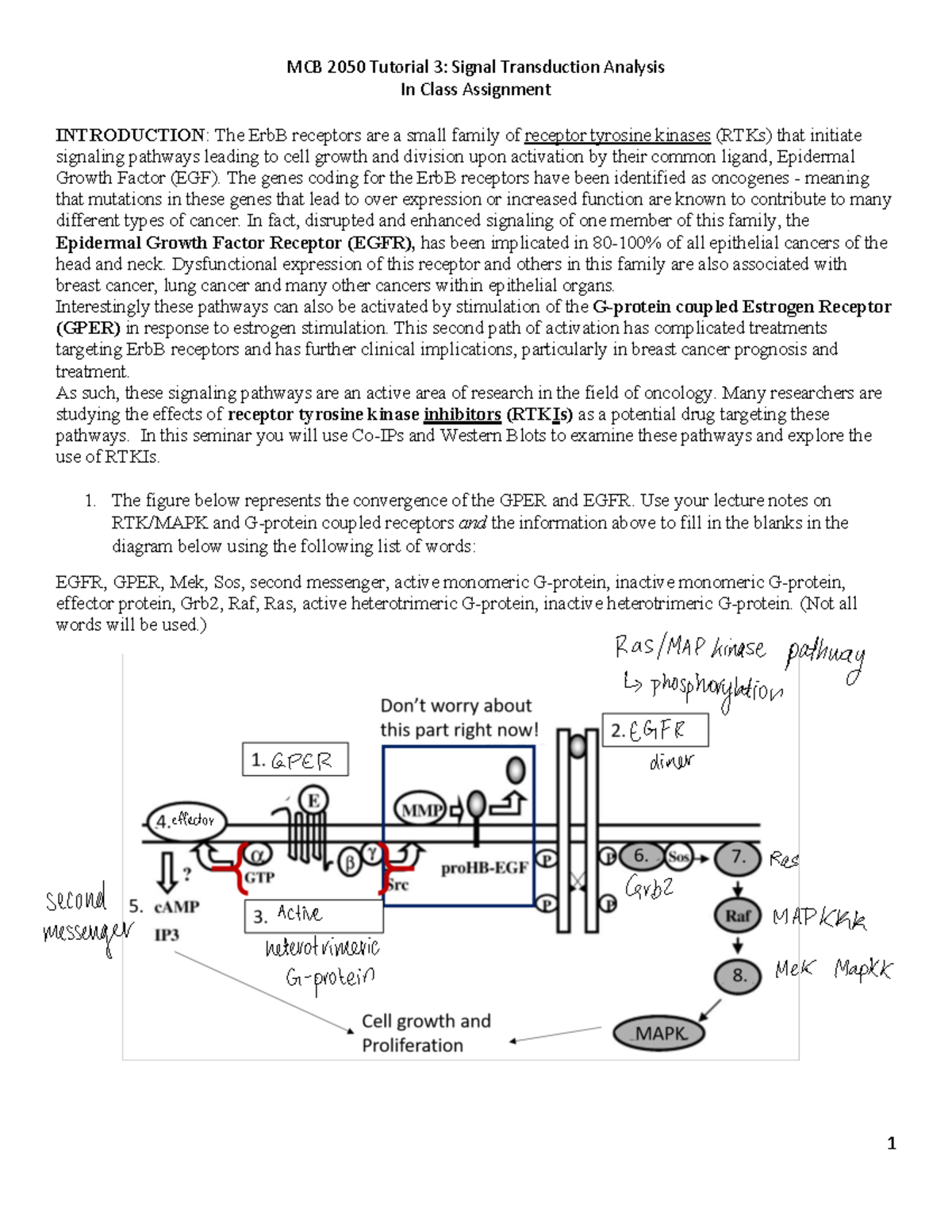 Signal transduction Seminar 3 PDF Version Fall - MCB 2050 Tutorial 3 : Signal Transduction ...