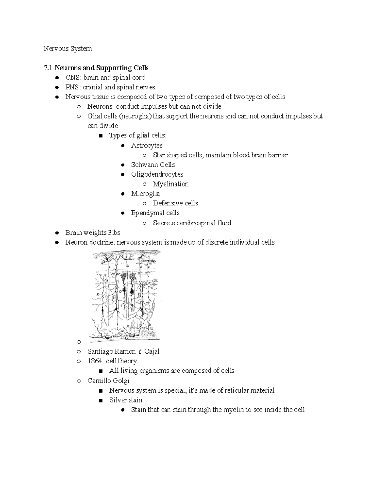 Module 6 Notes - Nervous System 7 Neurons and Supporting Cells CNS ...