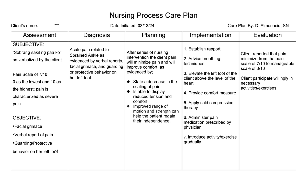 Nursing Process Care Plan - Nursing Process Care Plan Client’s name ...