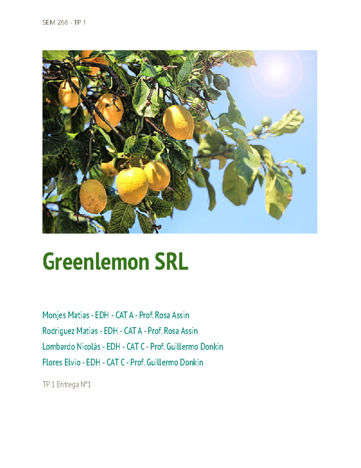 Propuesta de caso Greenlemon - Greenlemon SRL Monjes Matias - EDH - CAT A - Prof. Rosa Assin ...