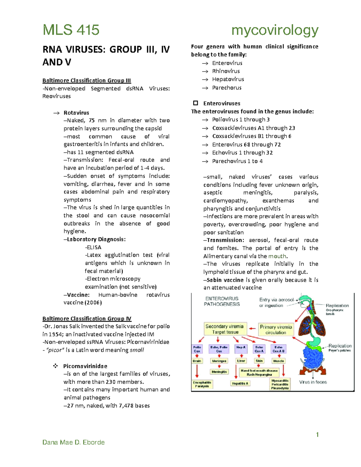 RNA Viruses TYPE III IV AND V - 1 RNA VIRUSES: GROUP III, IV AND V ...