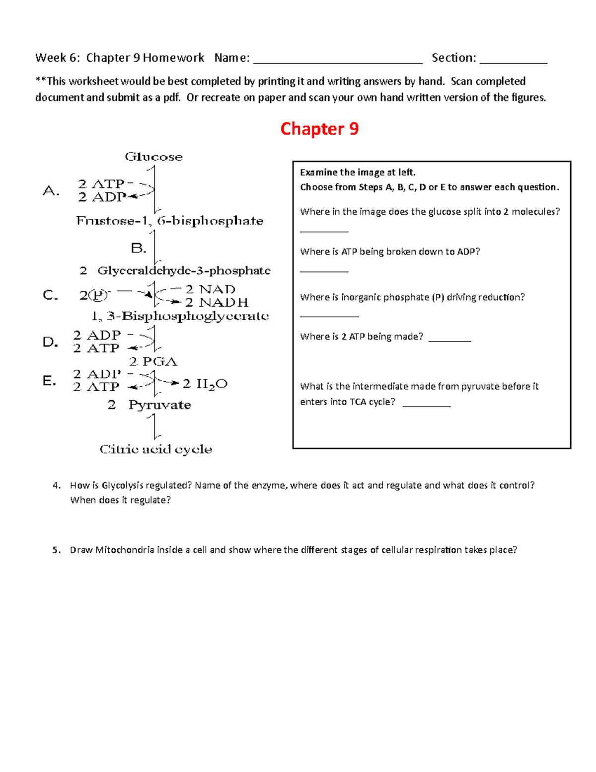 WEEK 6-HW- Chapter 9 - Bio 181 Home work for gail francis class at GCU - Week 6: Chapter 9 ...