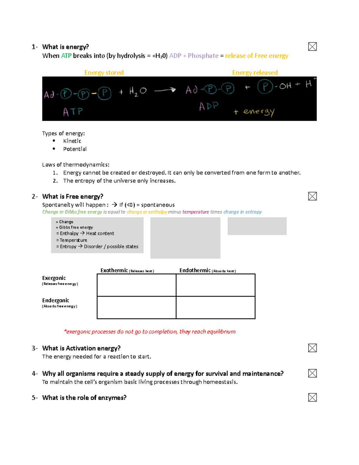Practice questions BIOL204 - 1- What is energy? When ATP breaks into ...