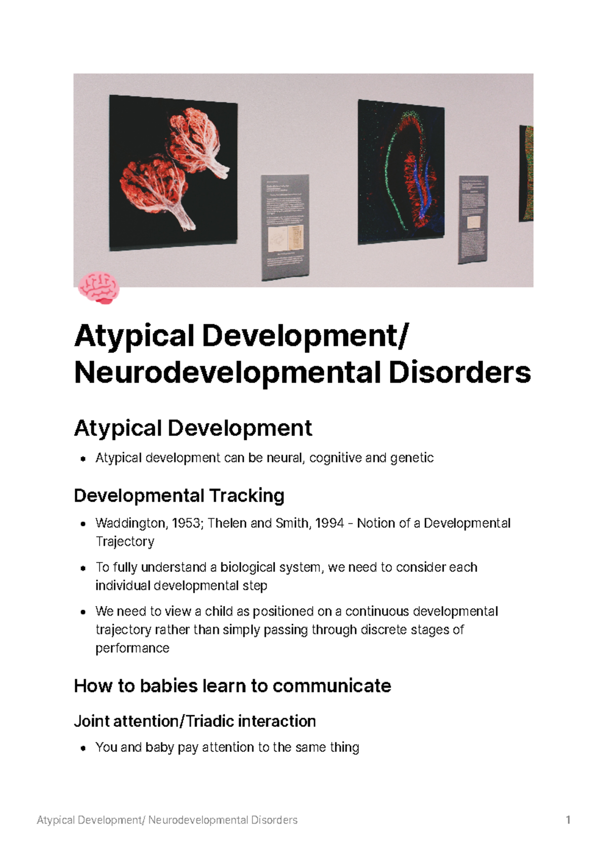 Atypical Development Neurodevelopmental Disorders - 🧠 Atypical ...